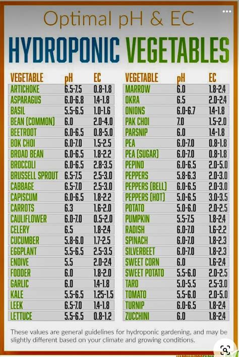 Optimal Ph And Ec Levels For Hydroponic Vegetables
