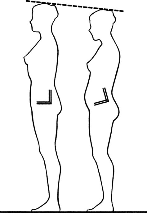 Pilates Movement Principles Explained Soma Pilates