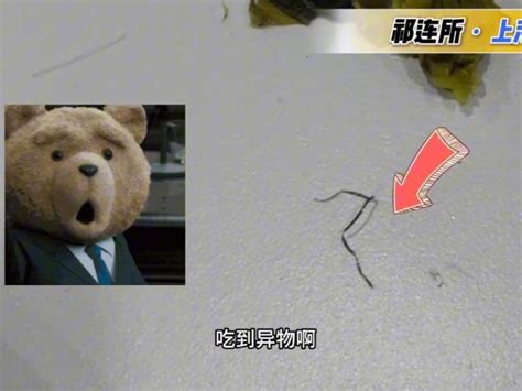 “比中彩票还难！”上海一男子一年七次在餐厅吃出钢丝 有何隐情？
