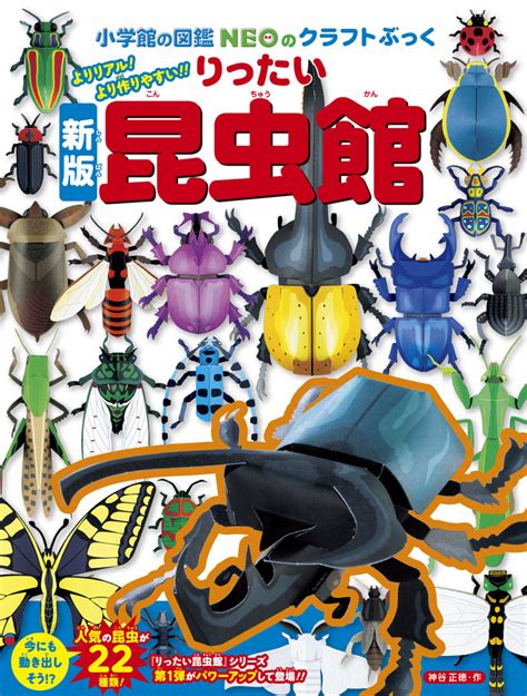 新版 りったい昆虫館 書籍 小学館