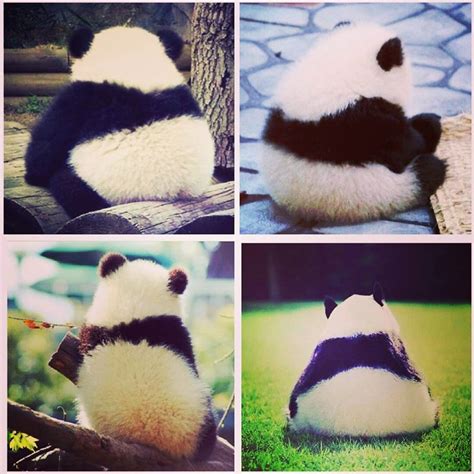 მხოლოდ გართობა