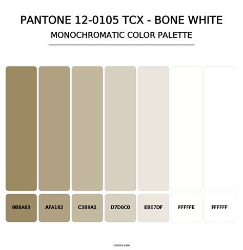 PANTONE 12 0105 TCX Bone White Color Palettes Colorxs