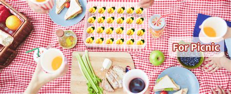 Newness Deviled Egg Containers With Lid Set Of 2 Plastic Egg Platter For 48