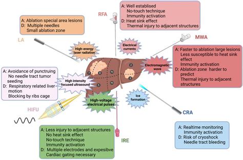 Threatment Strategies For Recurrent Hepatocellular Carcinoma Patients Ablation And Its