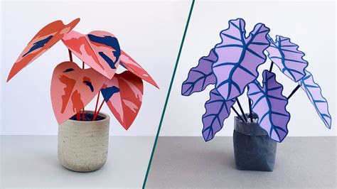 Brazen Botany Houseplants The Mór Card