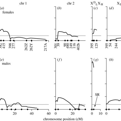 Quantitative Trait Loci Qtl Estimated By Composite Interval Mapping