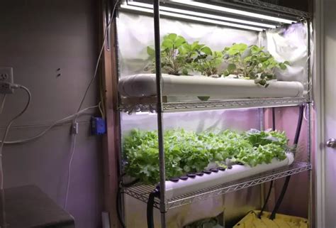 How To Diy Indoor Vegetable Garden System Casyoo
