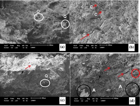 Scanning Electron Microscopy A Mass With 0 Of Waste Burned At 750 ºc