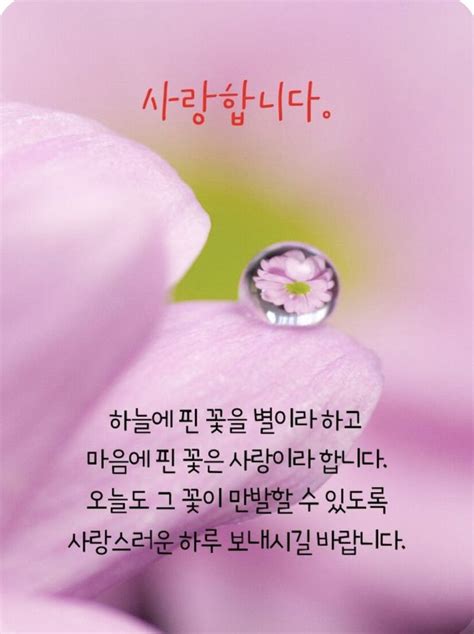 삶의 교훈 인용구에 있는 Sandra님의 핀 멋진 명언 힘을 주는 명언 영감을 주는 인용구