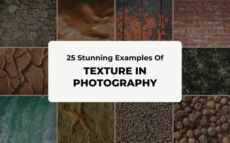 Examples Of Texture In Photography That Add Depth And Drama