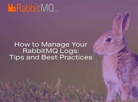 Erlang Solutions On Linkedin How To Manage Your Rabbitmq Logs Tips