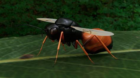 Akash Chavan On Linkedin Maya Photoshop 3dmodeling