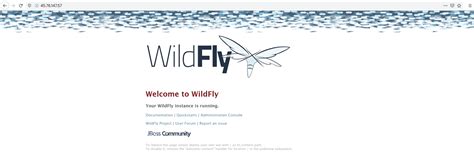 How To Install WildFly Java Application Server With Nginx Reverse Proxy On Ubuntu