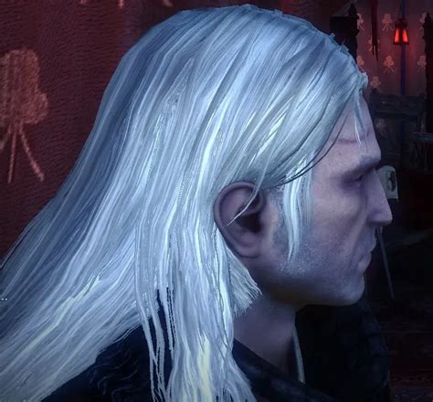 The Witcher 2 Assassin Of Kings Review The Anomalous Host