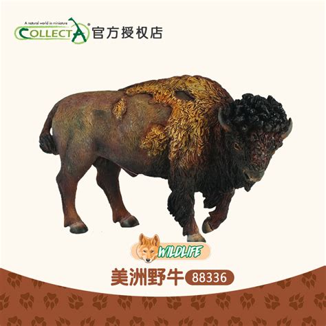 Collecta