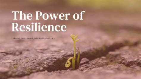Why Resilience Matters In Todays World