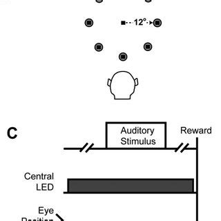 Configuration of stimulus arrays and behavioral tasks. A, Schematic of ...