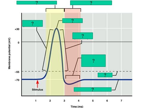 Lab Lesson 2 4 Diagram Quizlet