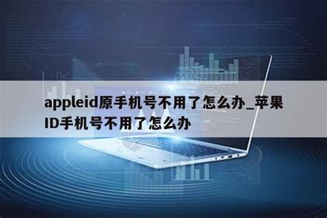 Appleid Apple Id Appid