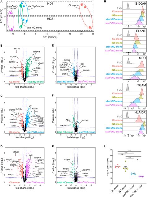 Scrna Seq Experiments Of Monocyte Subgroups A Umap Of Scrna Seq