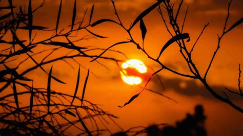 Mercury Enters Scorpio And Sun Trines Neptune Moon Omens