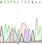How To Properly Analyze And Troubleshoot DNA Sequencing Results