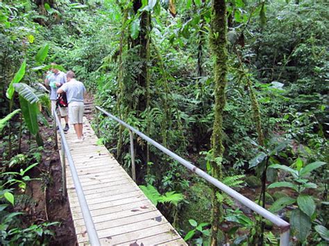Santa Elena Costa Rica Cloud Forest Monteverde Tours
