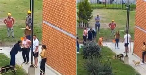 ¡el Video Del Que Todos Hablan Pitbull Mató A Otra Mascota Dentro De