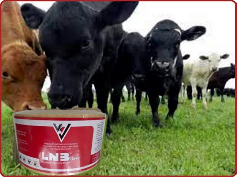 Cattle Mineral Salt Blocks Packaging Type Shrink Pvc Packaging Size