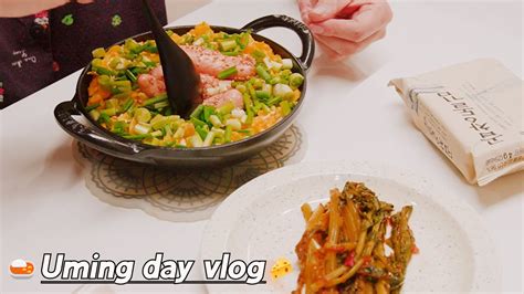 Vlog 주부 집순이 브이로그🥓 스타우브 베이비웍 사길 잘했다👏 명란솥밥과 치즈밥 마켓컬리 장보기 피부에 좋은 케일쥬스 당근마켓 사진찍다 핸드폰 액정