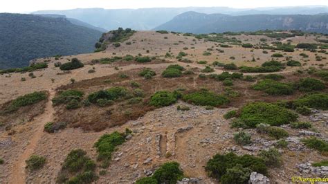 Area Archeologica Di Taccu E Ticci Seulo Nuragando