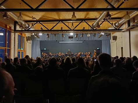 Rückblick Orchesterkonzert der Streicher Musik und Kunstschule