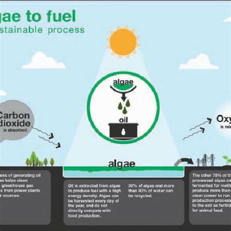 Microalgal Carbon Capture And Biomass Production Download Scientific