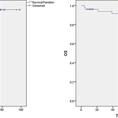 A Three Dimensional Conformal Radiotherapy Plan Was Generated With A Download Scientific