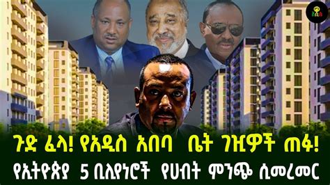 የኢትዮጵያ 5 ቢሊየነሮች የሀብት ምንጭ ሲመረመር Youtube