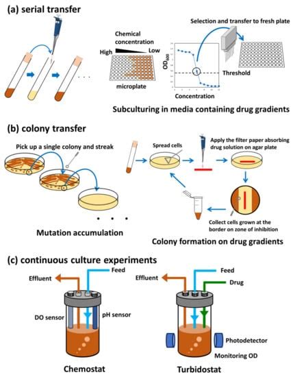 Adaptive Laboratory Evolution Of Microorganisms Methodology And Application For Bioproduction