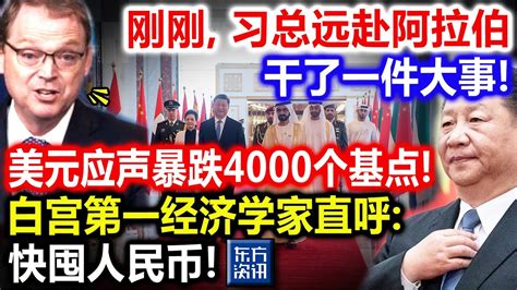 刚刚，习总远赴阿拉伯干了一件大事！美元应声暴跌4000个基点！白宫第一经济学家直呼：快囤人民币！ Youtube