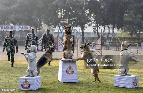 Gwalior Gwalior State Photos And Premium High Res Pictures Getty Images