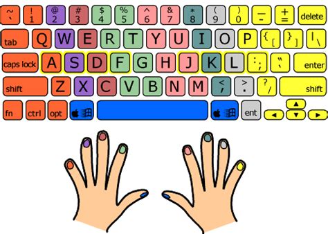 Which Fingers Go Where Peters Online Typing Course