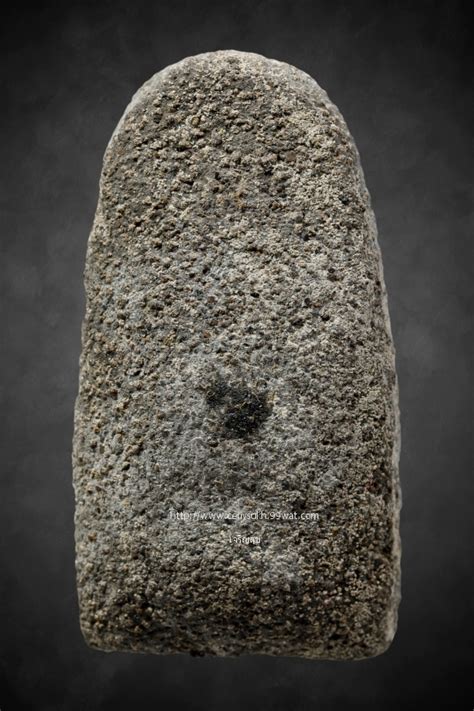 หลวงปู่ทวด วัดช้างไห้ เนื้อว่าน รุ่นบูรณะพระบรมธาตุเจดีย์ ปี2551 พิมพ์พระรอด ผสมผงเนื้อว่าน ปี