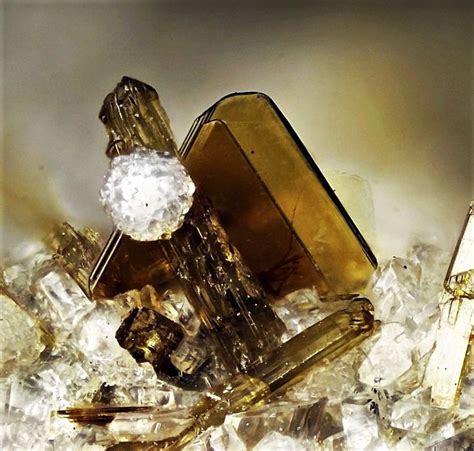 Stunning Gold And Diamond Jewelry On Ice Crystals