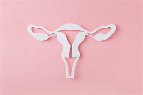 Entenda o que é vaginismo e conheça as causas Jovem Pan
