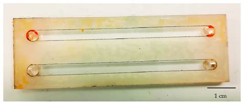 Figure A3 Example Of A Flow Cell Subjected To Leakage Testing Which