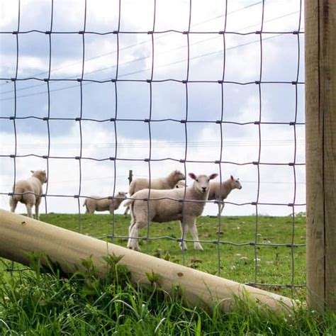Tornado Torus Stock Netting R8 80 15 Dickson Timber Harrogate