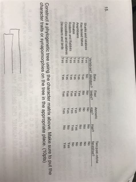 Solved Construct A Phylogenetic Tree Using The Character