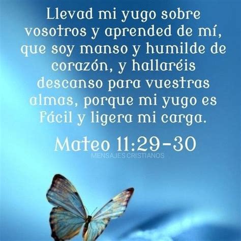 Mark Lambert Posted On Linkedin