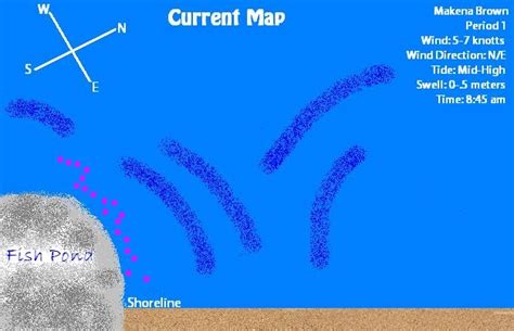 Makena S Amazing Science Blog Beach Profiling