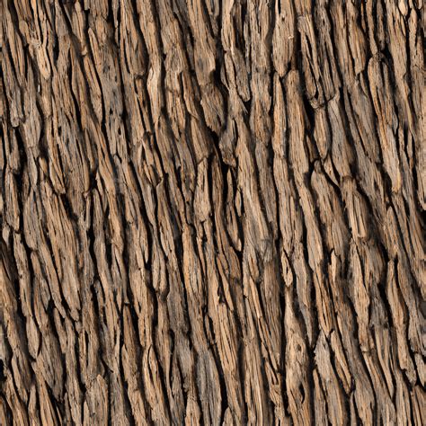 Tree Bark Pattern Graphic Creative Fabrica