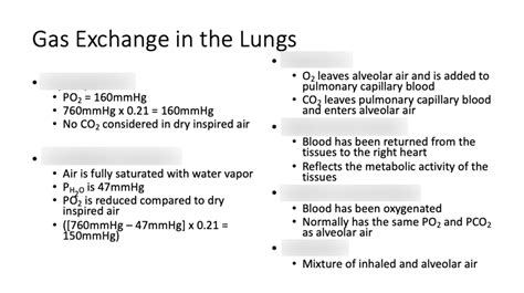 Ventilationperfusion Relationships And Vq Effects Diagram Quizlet