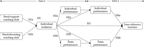 Hypothetical Model Of The Relationships Between Need Support And Download Scientific Diagram